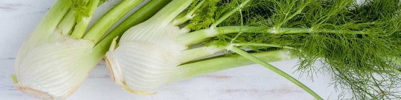 Finocchio Sicilian style · NASUKI.GURU fennel on your table