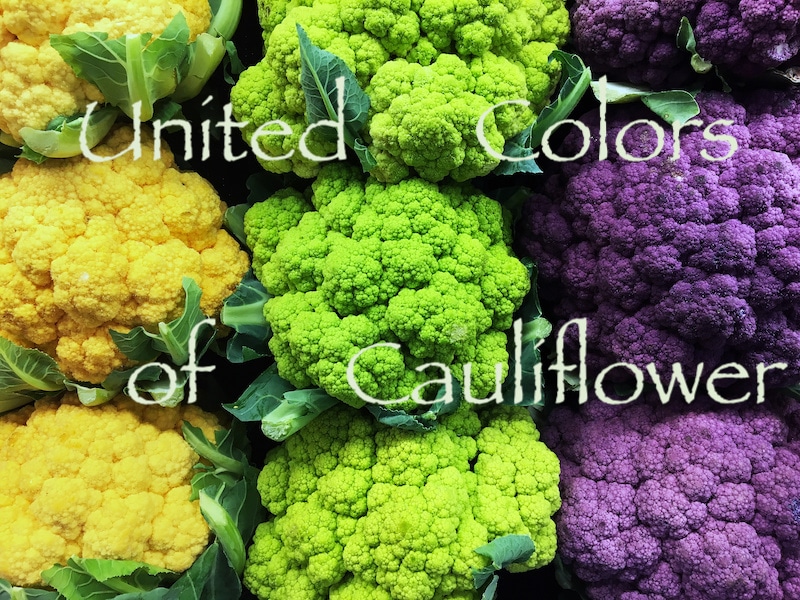 United colors of Cauliflower · NASUKI.GURU she comes in colors